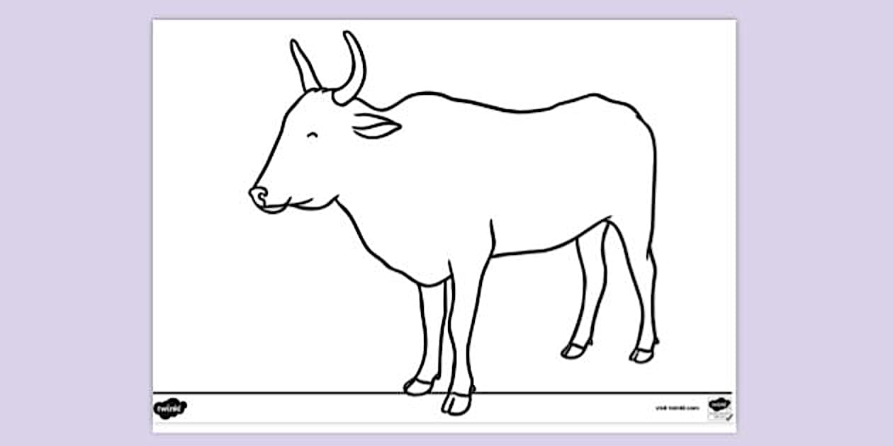 Ox_Colouring Sheet (teacher made) - Twinkl