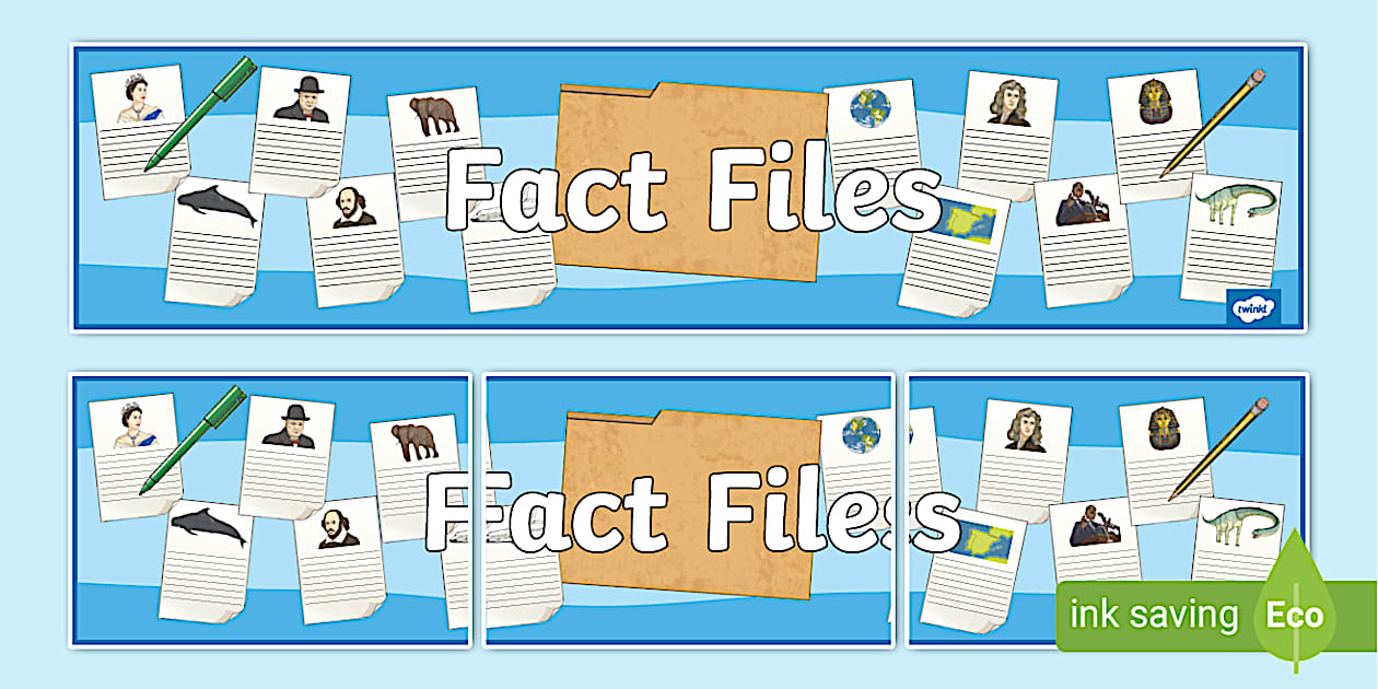 Fact Files Display Banner (teacher made) - Twinkl