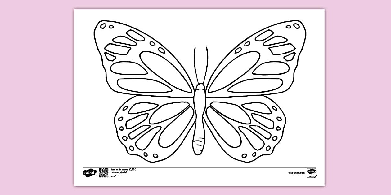 Butterfly to Colour in - Teacher-made Primary Resource