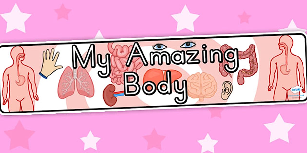 My Amazing Body Display Banner - Twinkl
