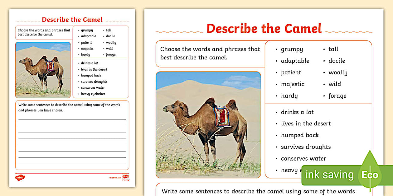Describe a Camel Writing Activity (teacher made) - Twinkl