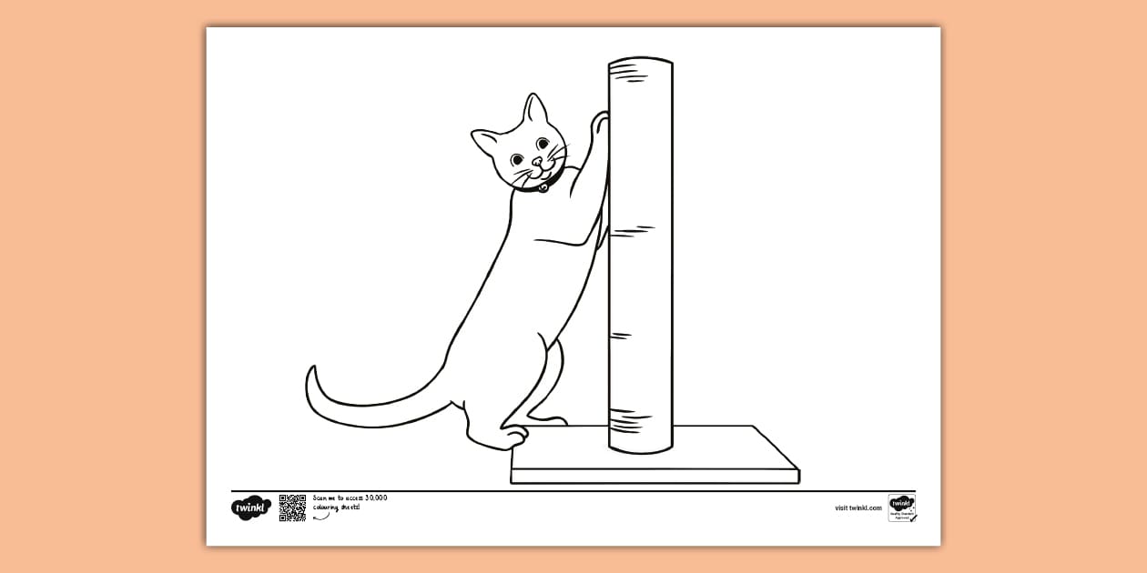 Printable Kitten Colouring Page | Colouring Sheets - Twinkl