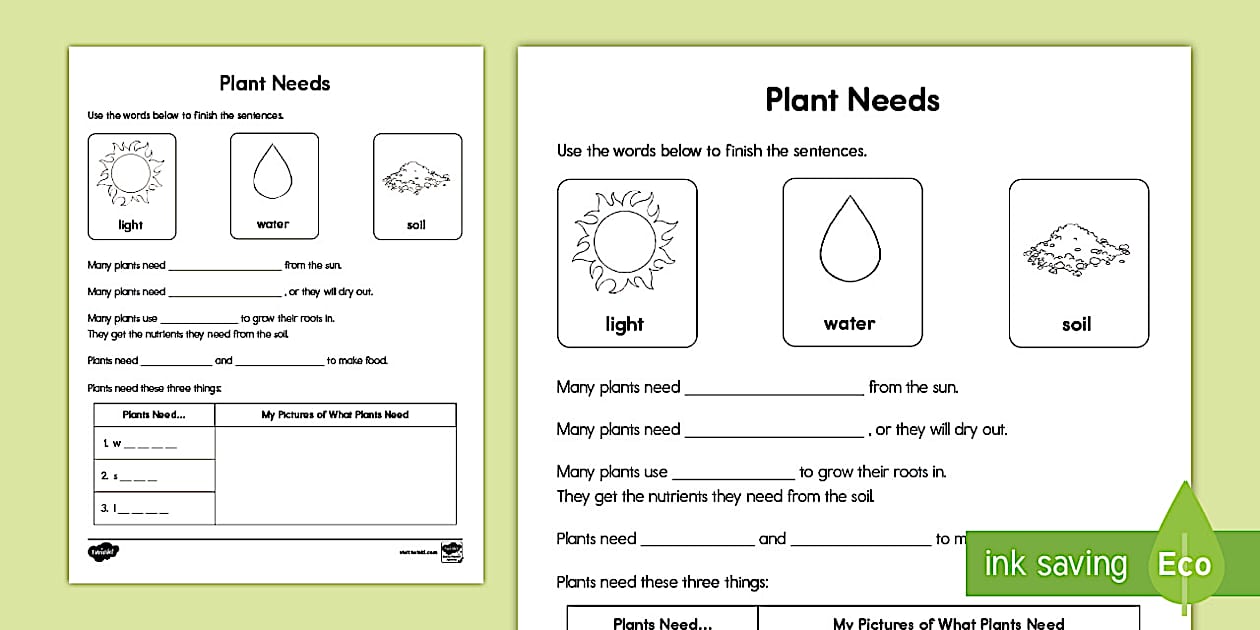 Plant Needs Worksheet for K-2nd Grade (Teacher-Made)