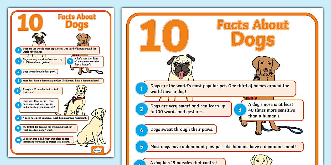 10 Facts About Dogs Display Poster (teacher made) - Twinkl