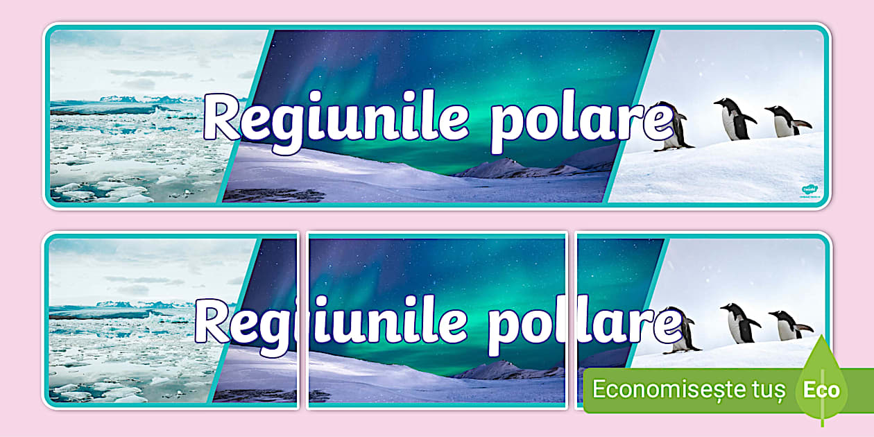 Regiunile polare – Banner (Teacher-Made) - Twinkl