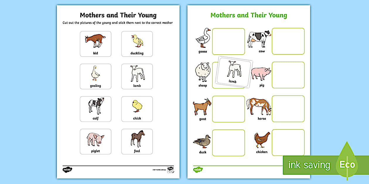SA Mothers and their Young Farm Animals Matching Activity