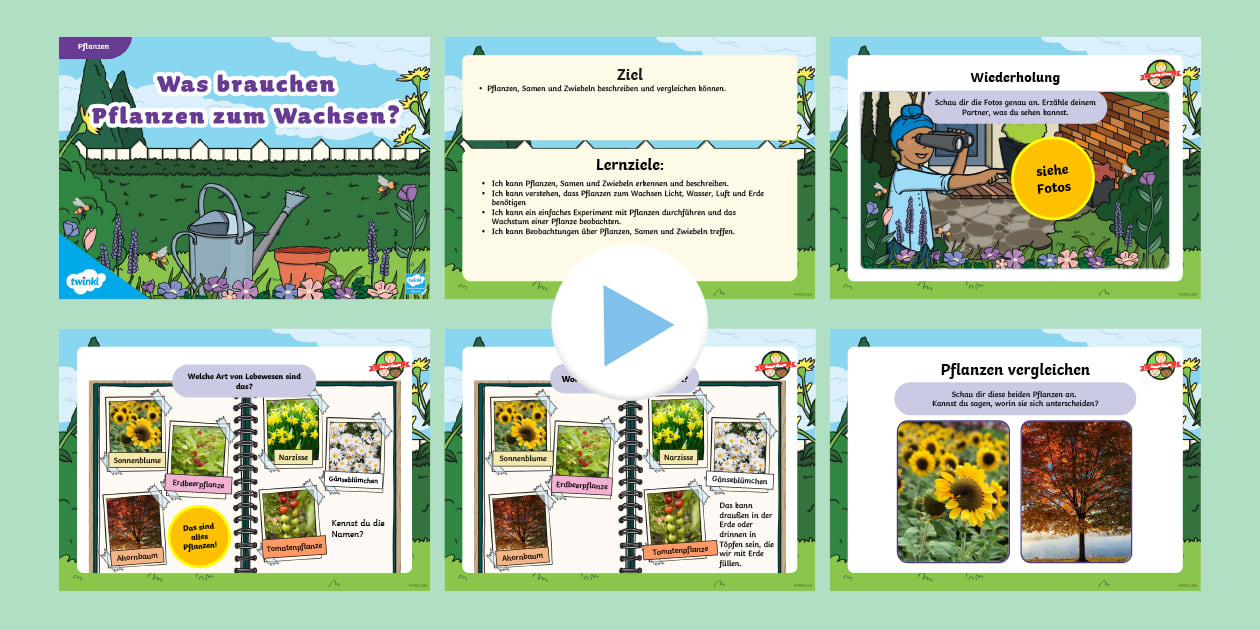 Was brauchen Pflanzen zum Wachsen? - PowerPoint Präsentation