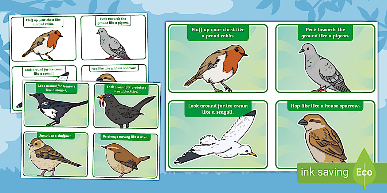UK Birds Brain Break Action Cards (teacher made) - Twinkl