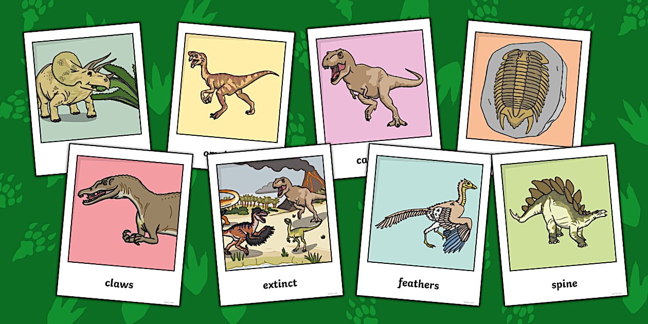 Dinosaur Vocabulary Instant Photo Style Display Images