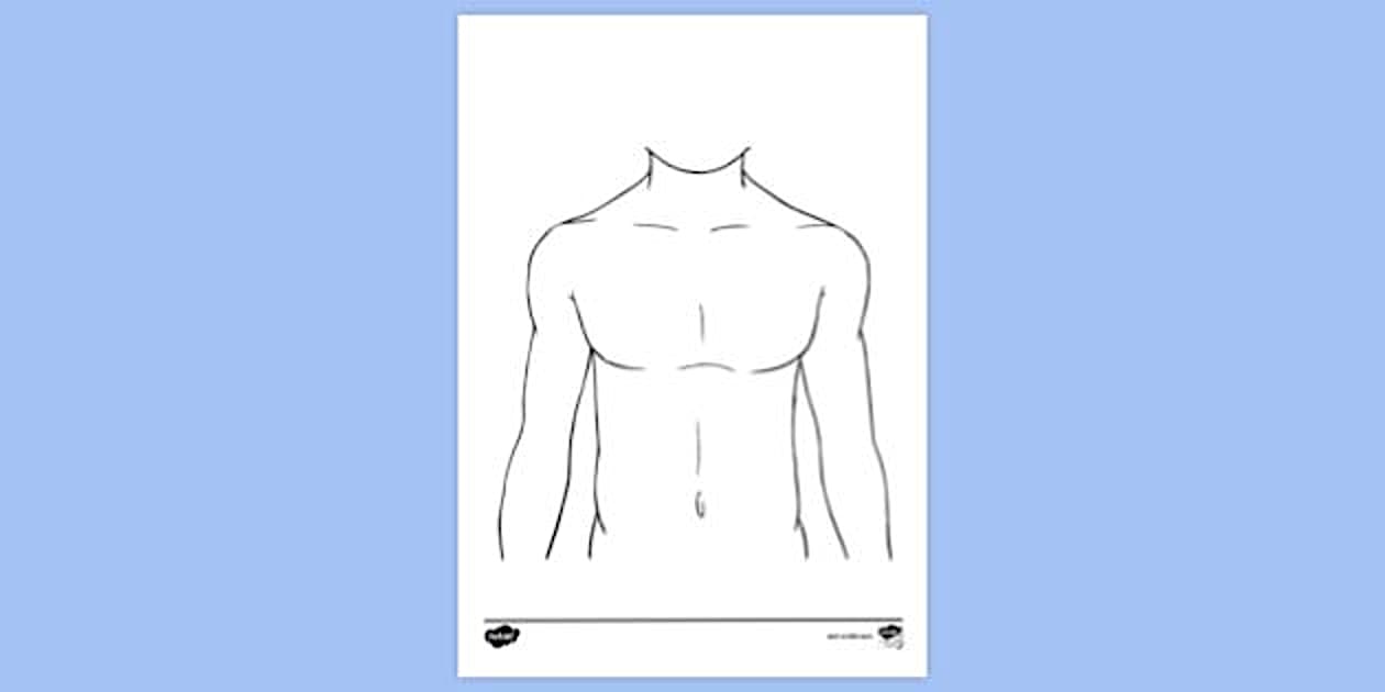 Human Torso Colouring Sheet | Colouring Sheets - Twinkl