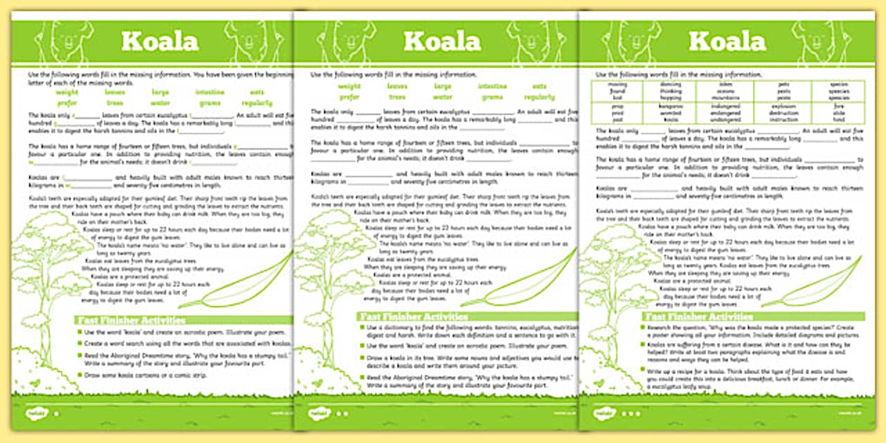 Australian Animals Years 3-6 Koala Differentiated Cloze Passage Worksheet