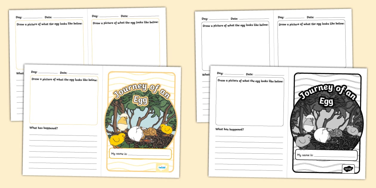 Chick Hatching Observation Booklet (Teacher-Made) - Twinkl