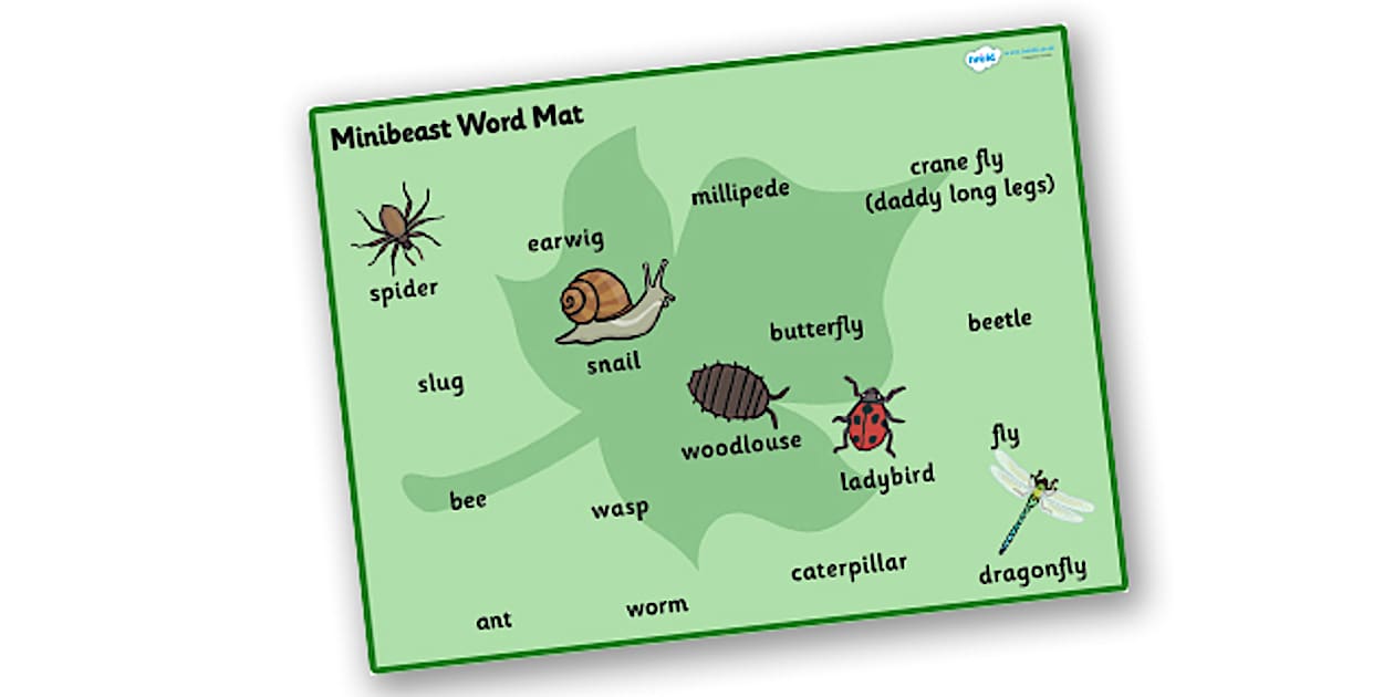 Minibeast Theme Interactive Word Mat (Teacher-Made) - Twinkl