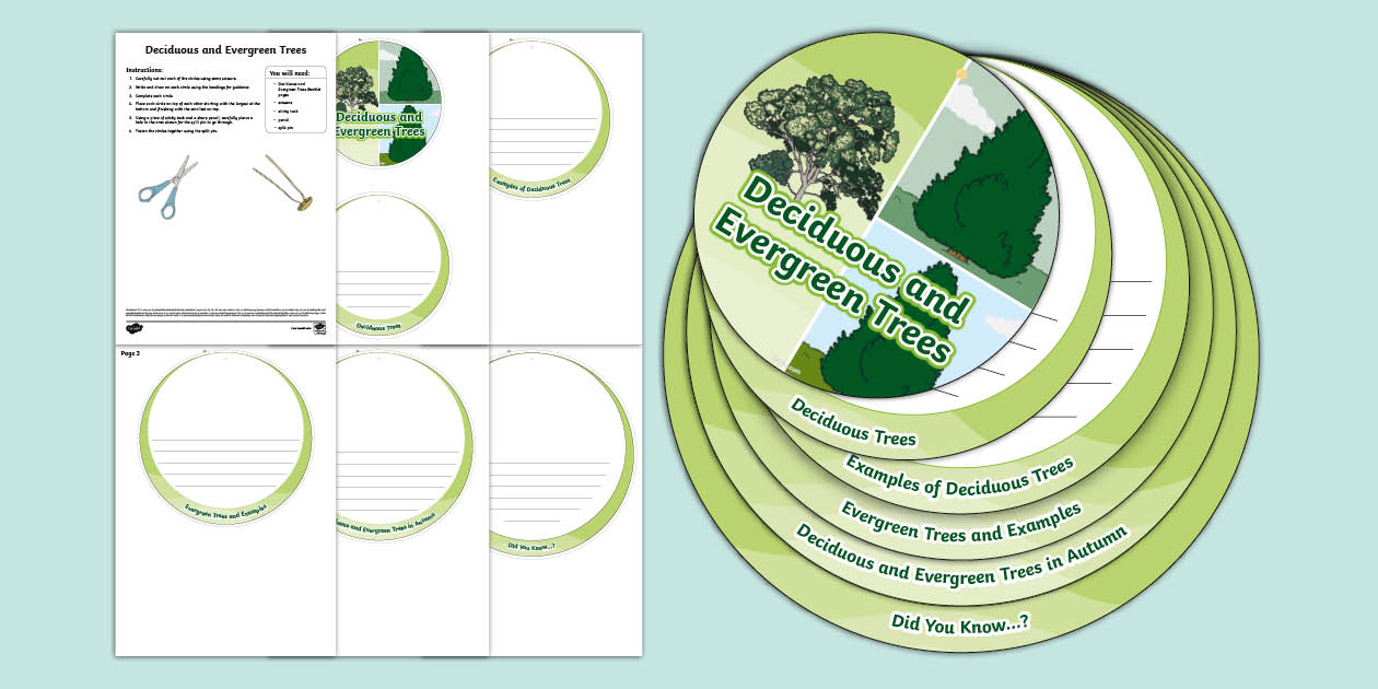Deciduous and Evergreen Trees Circles Booklet (teacher made)