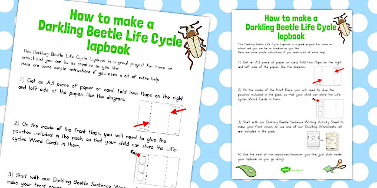 Black and White Darkling Beetle Life Cycle Lapbook Instruction Sheet