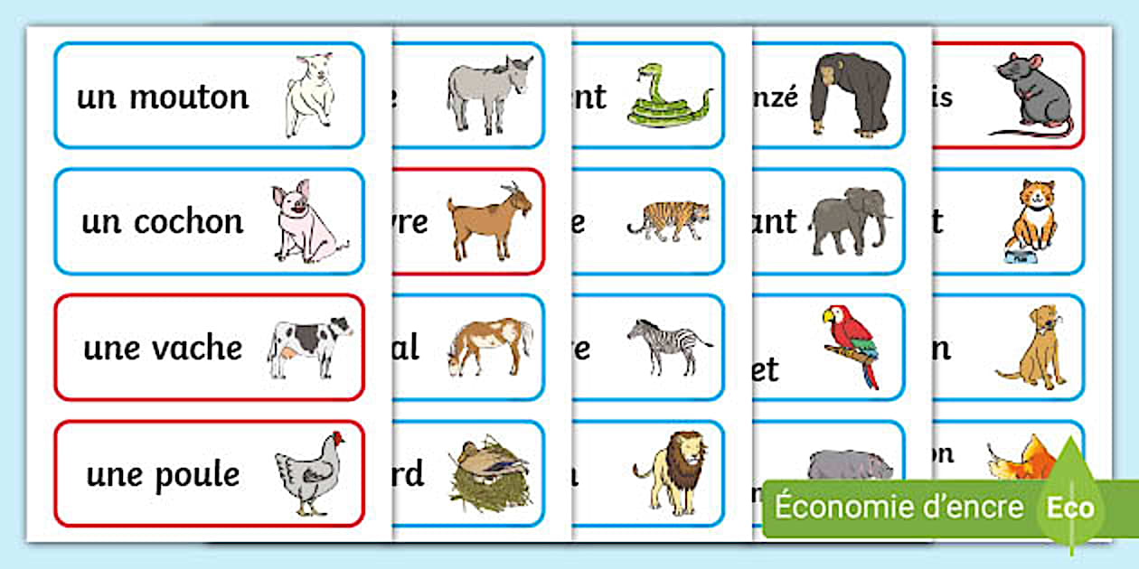 Cartes de vocabulaire sur les animaux