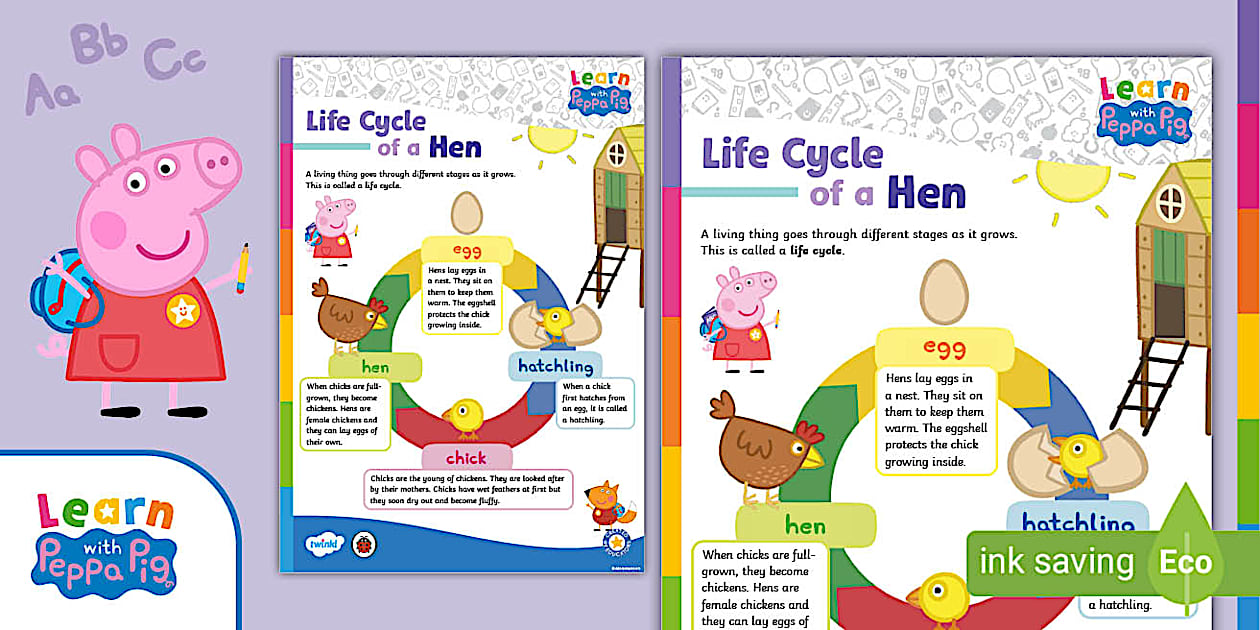 FREE! - Peppa Pig: Life Cycle of a Hen Display Poster
