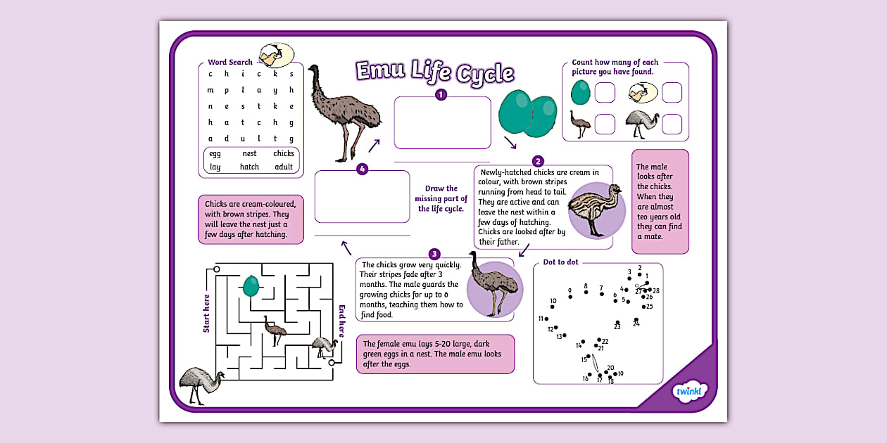 Emu Activity Mat (teacher made) - Twinkl