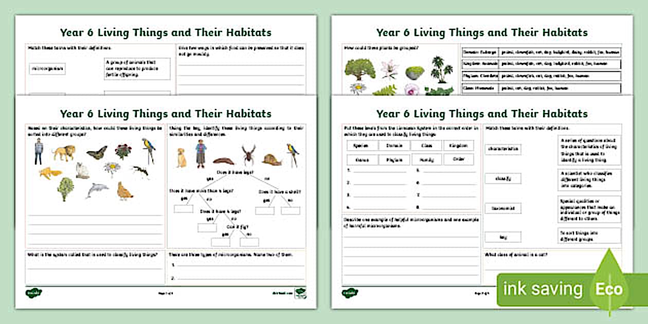 KS2 Year 6 Living Things and Their Habitats Revision Activity Mat