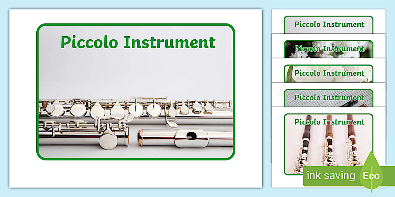 Piccolo Musical Instrument Photo Pack (teacher made)