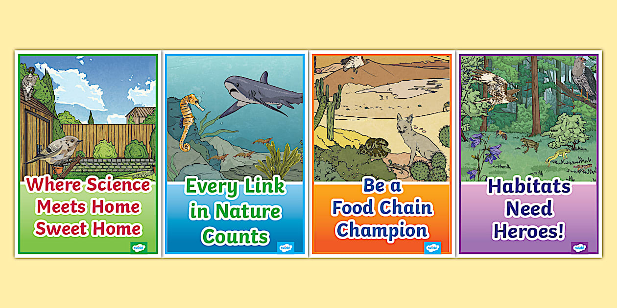 STEM Motivational Posters – Food Chains (teacher made)