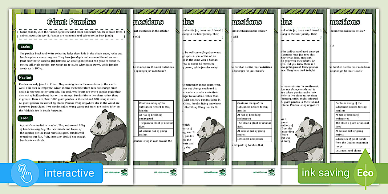 Panda Reading Comprehension 3-6 (Teacher-Made) - Twinkl