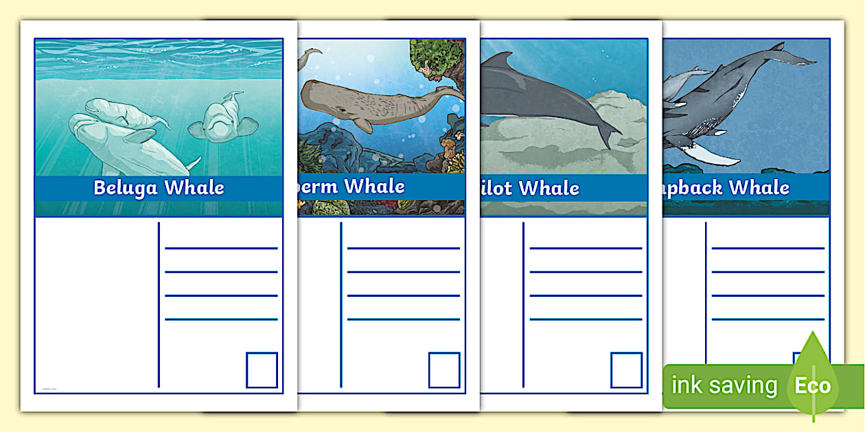 Whale Postcards to use to send a mail to a whale.