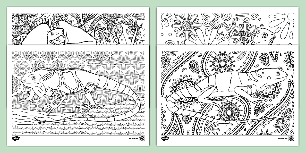 Lizard Mindfulness Colouring Pages - Twinkl - KS1 - Twinkl