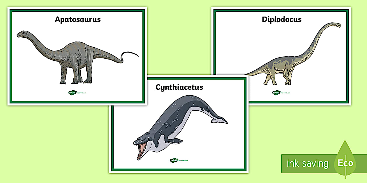 Classroom Dinosaur Posters | Display Resources | Twinkl