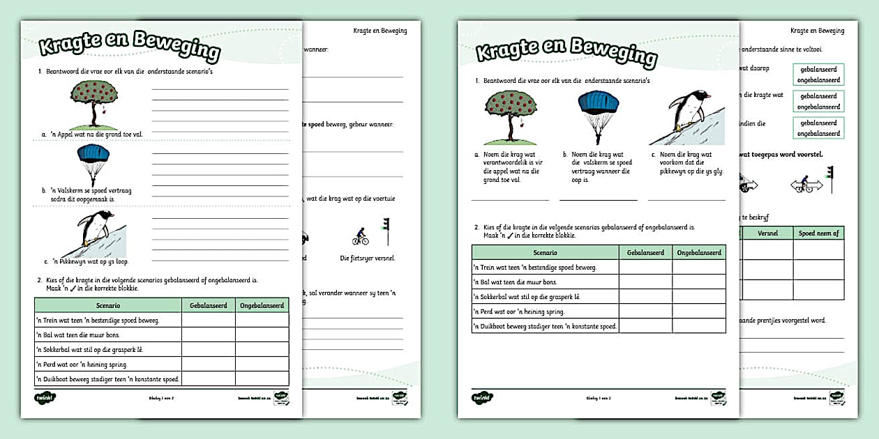Kragte en Beweging Gedifferensieerde Huiswerk Aktiwiteit