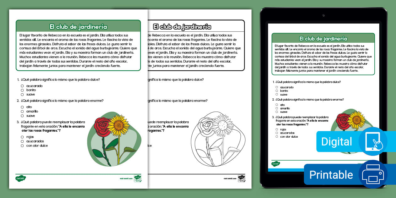 Actividad de comprensión de lectura de ficción para segundo grado: El ...