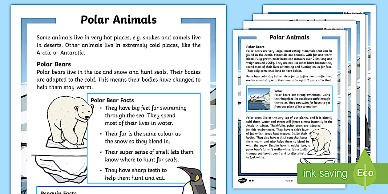 All About Winter Animals Differentiated Fact File - Twinkl