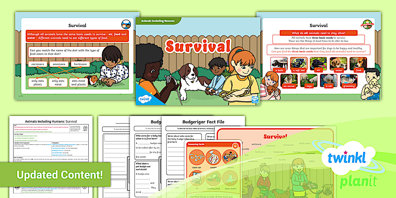 Survival Lesson Plans | Science | Year 2 Lesson 4 | Twinkl