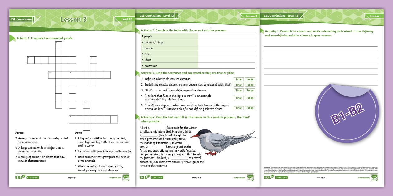 ESL Level 12, Lesson 3 Activity Sheet (teacher made)