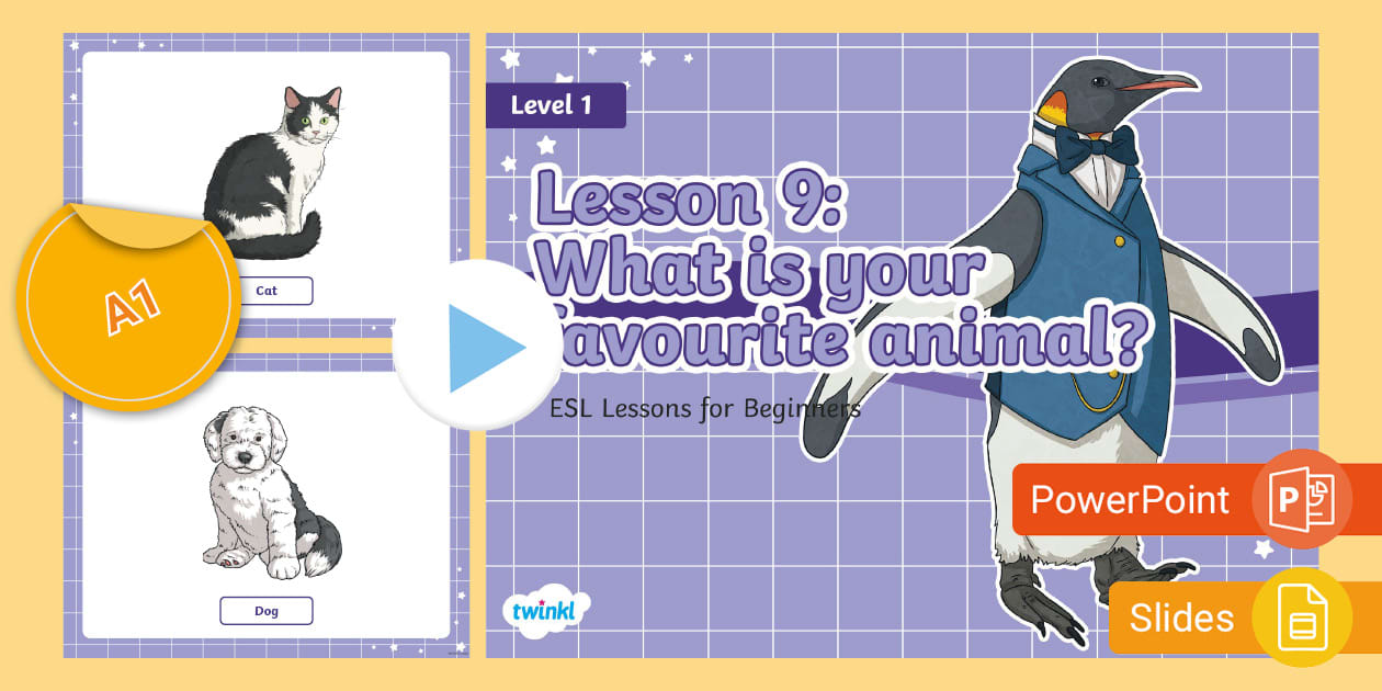 Lesson 9: Animals ESL Lesson | Inclusion | Twinkl - Twinkl