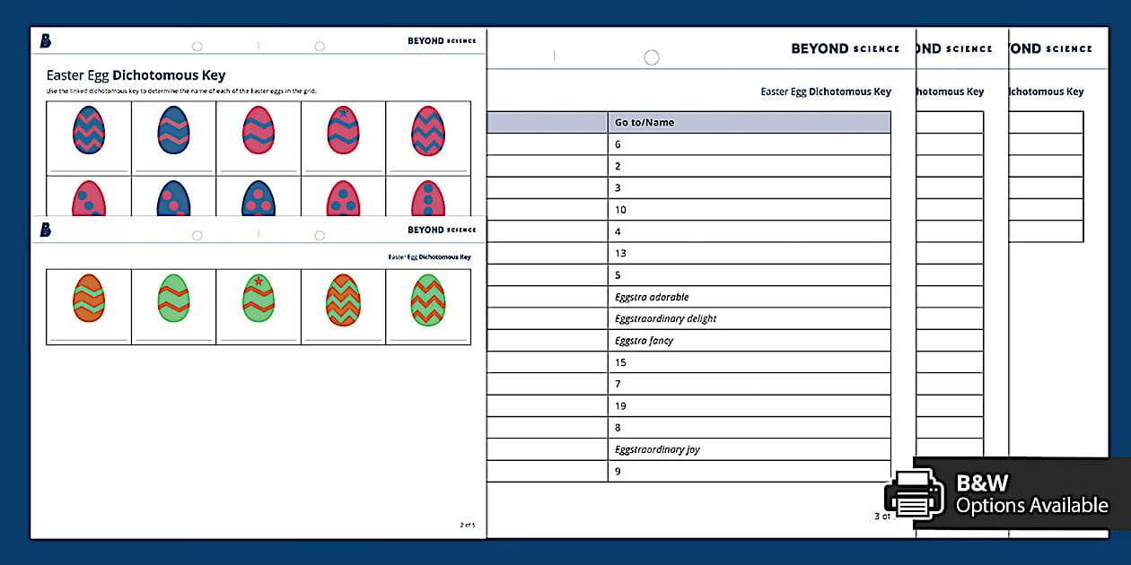 Easter Egg Dichotomous Key (teacher made) - Twinkl