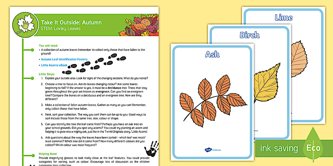 EYFS Lovely Leaves STEM Activity and Resource Pack