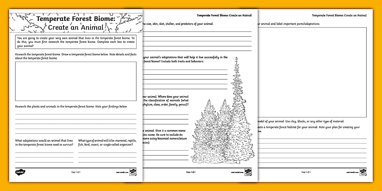 Temperate Forest Biome: Create an Animal Project - Twinkl