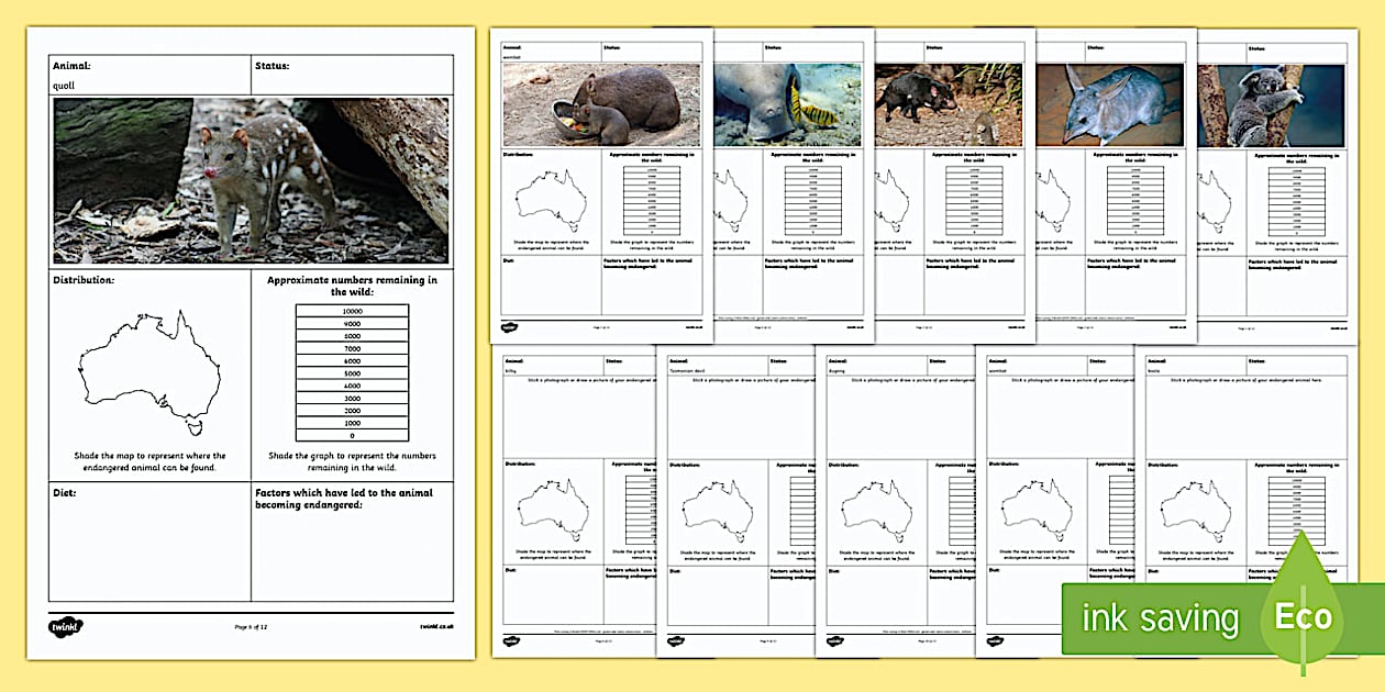 Endangered Animals Activity Sheet | Twinkl Biology - Twinkl