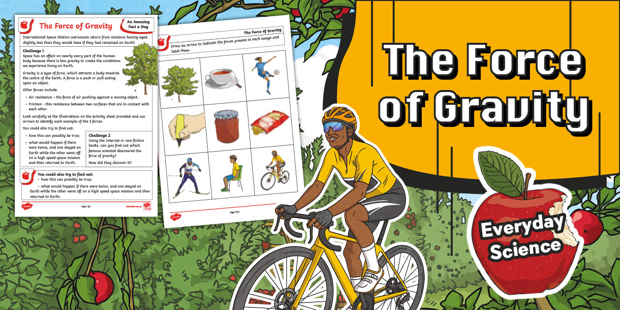 Gravity Worksheet Activity Sheet for Kids | Twinkl USA