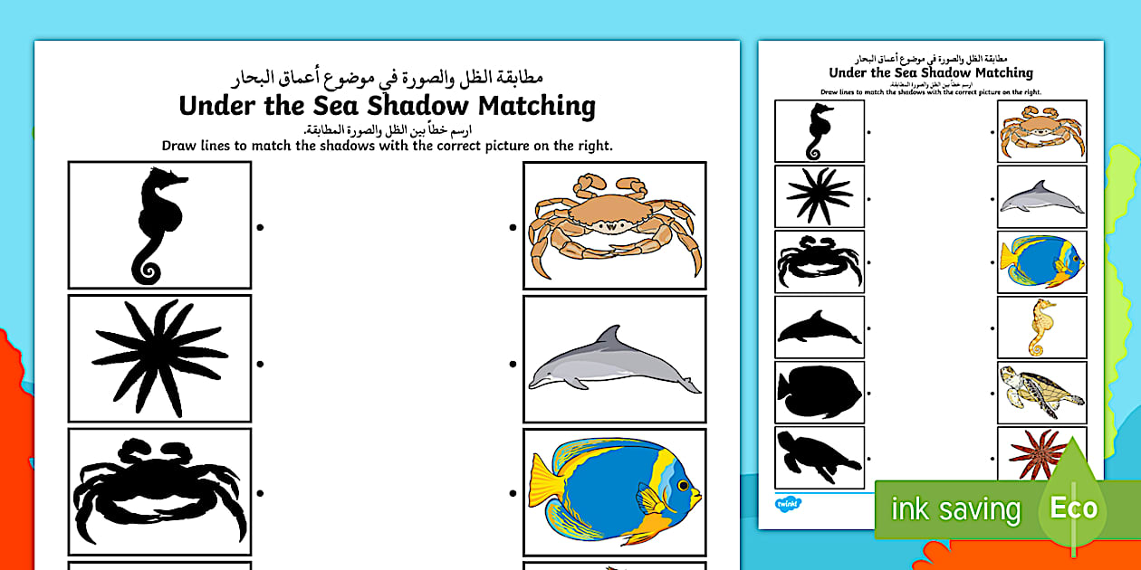 Editable Under the Sea Shadow Matching Worksheet - Arabic/English