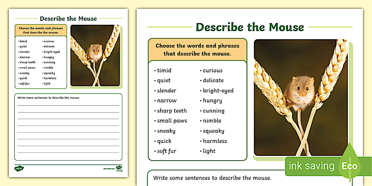 Describe the Mouse Writing Activity (teacher made) - Twinkl
