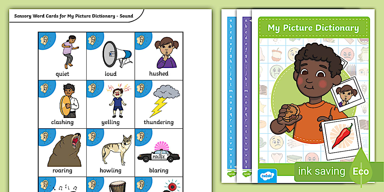 Sensory Vocabulary Picture Dictionary Word Card Set - dictionary
