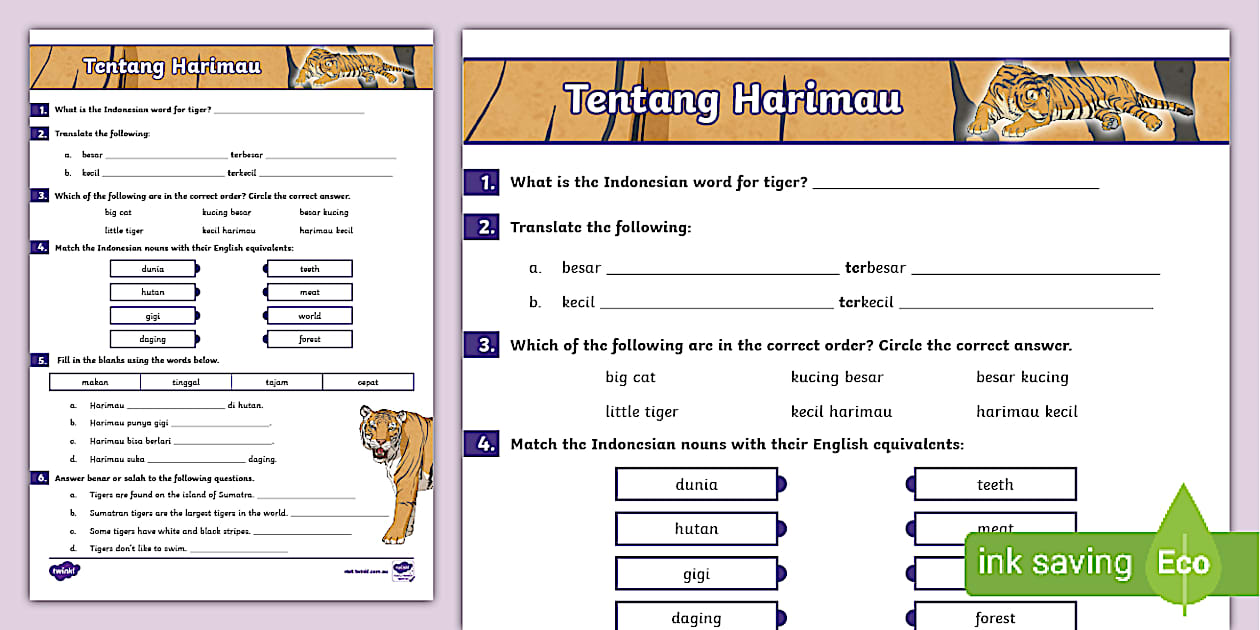Indonesian Animals: All About Tigers Upper Primary - Twinkl