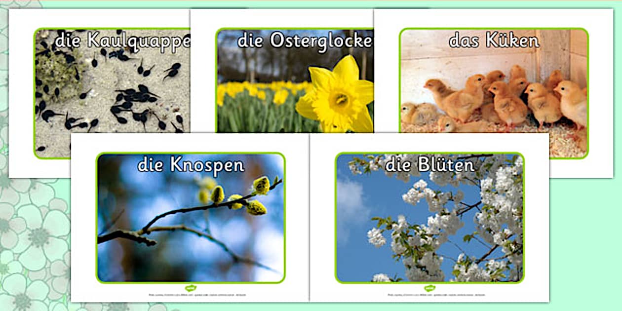 Spring Display Photos German (teacher made) - Twinkl