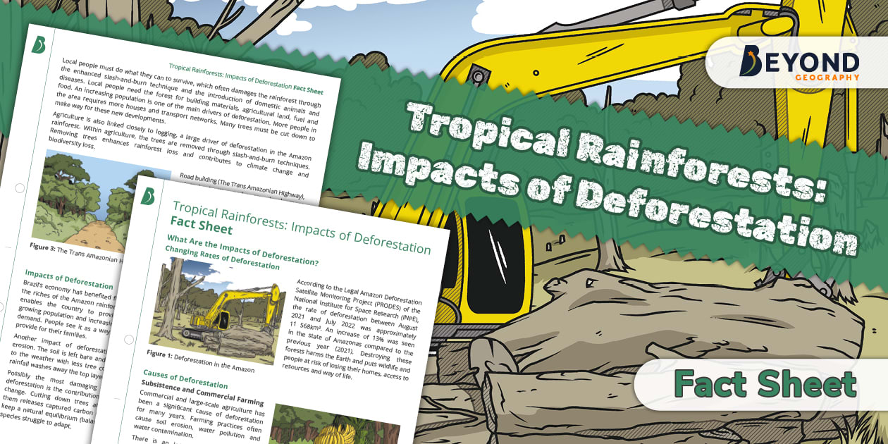 Tropical Rainforests: Impacts of Deforestation Fact Sheet