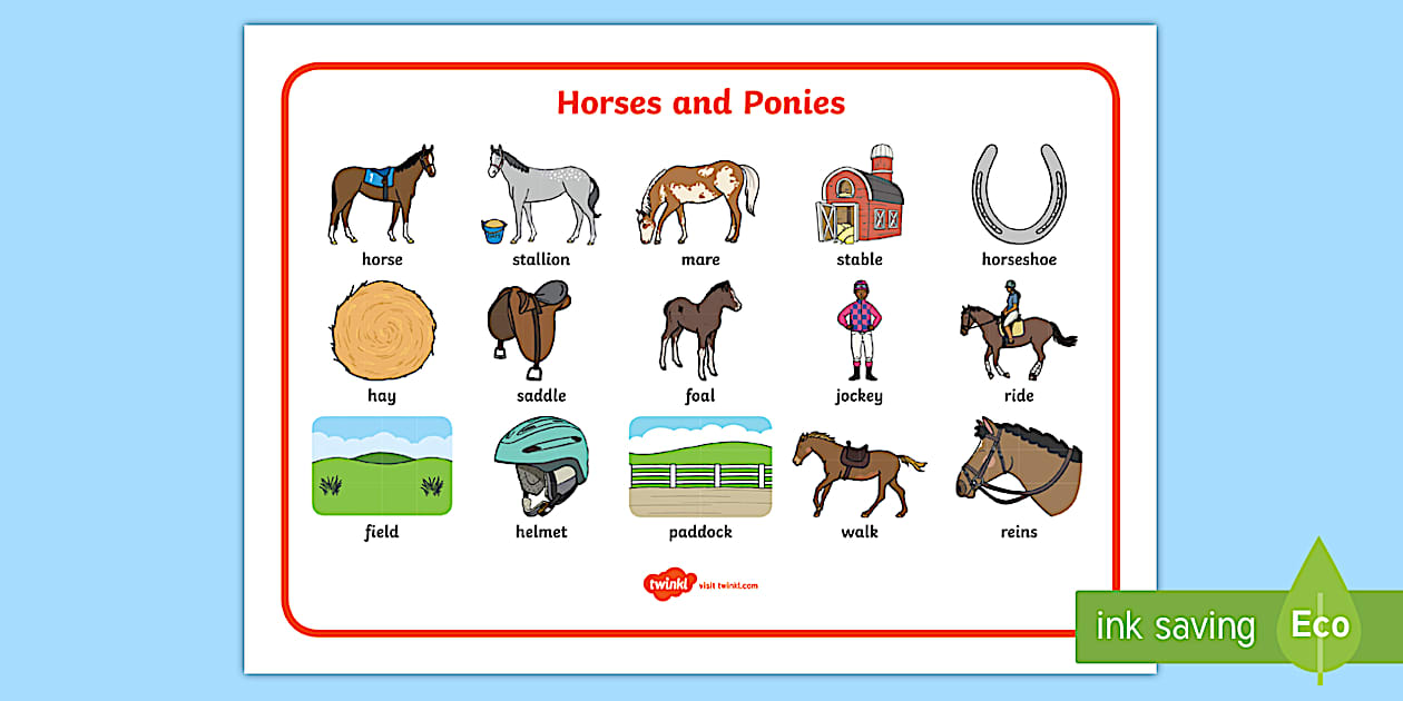 Horses and Ponies Word Mat - ESL Animals Vocabulary - Twinkl