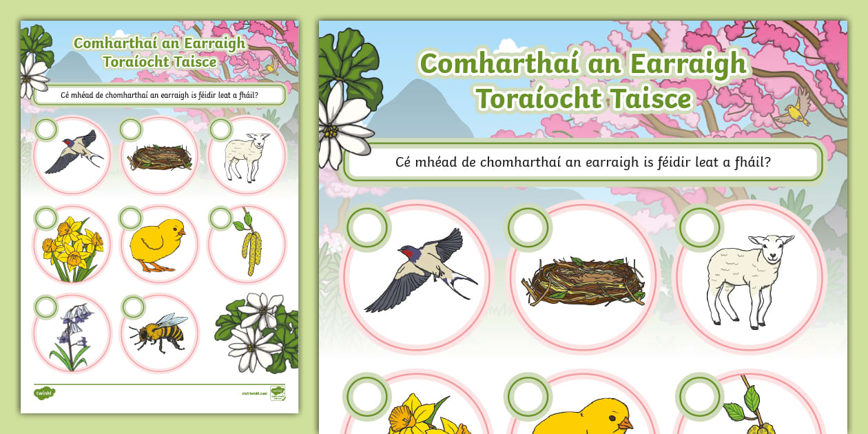 Comharthaí an Earraigh Toraíocht Taisce - Twinkl