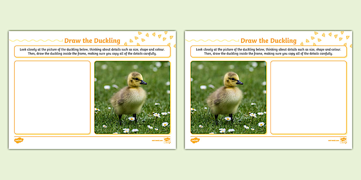 Draw the Duckling Worksheet (teacher made) - Twinkl