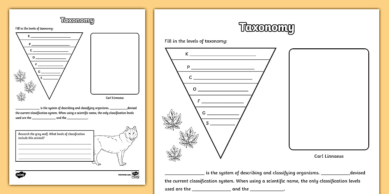 Sixth Grade Taxonomy Doodle Organizer